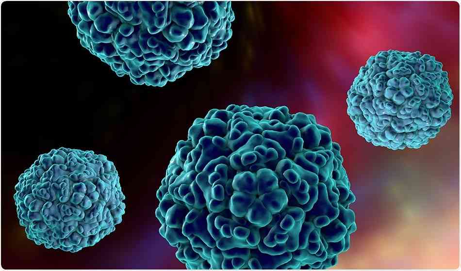 Foot-and-mouth Disease Virus Vaccines - Creative Biolabs