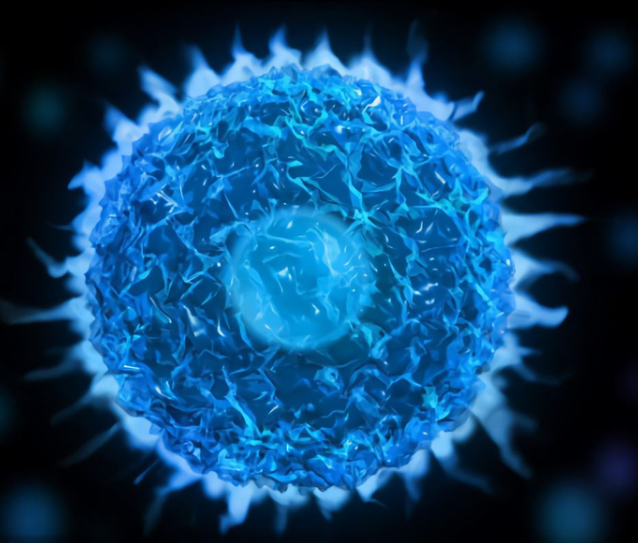 Vaccines for Infectious Bursal Disease Virus - Creative Biolabs