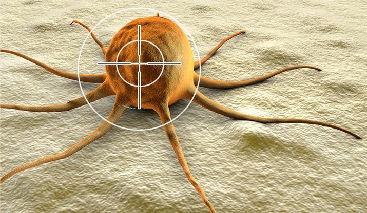 Peptide Microarray in Cancer Neoepitope Discovery - Creative Biolabs