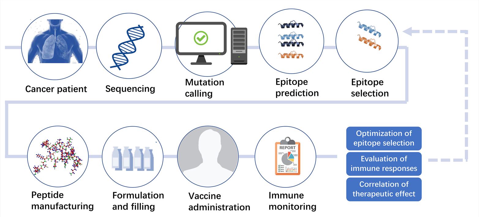 Personalized Neoantigen Cancer Vaccine - Creative Biolabs
