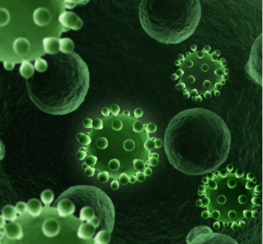 Vaccines for Mump Virus - Creative Biolabs