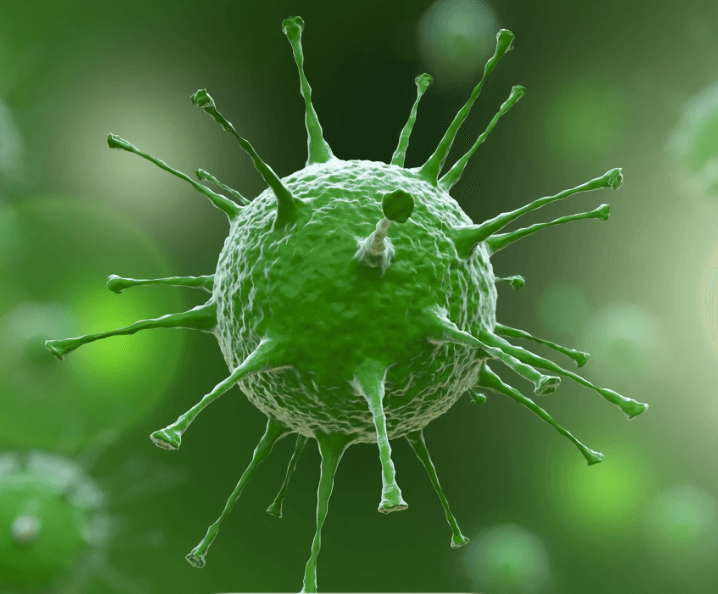 Vaccines for Peste des Petits Ruminants Virus - Creative Biolabs