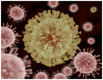 Vaccines for Virus from Circoviridae Family - Creative Biolabs