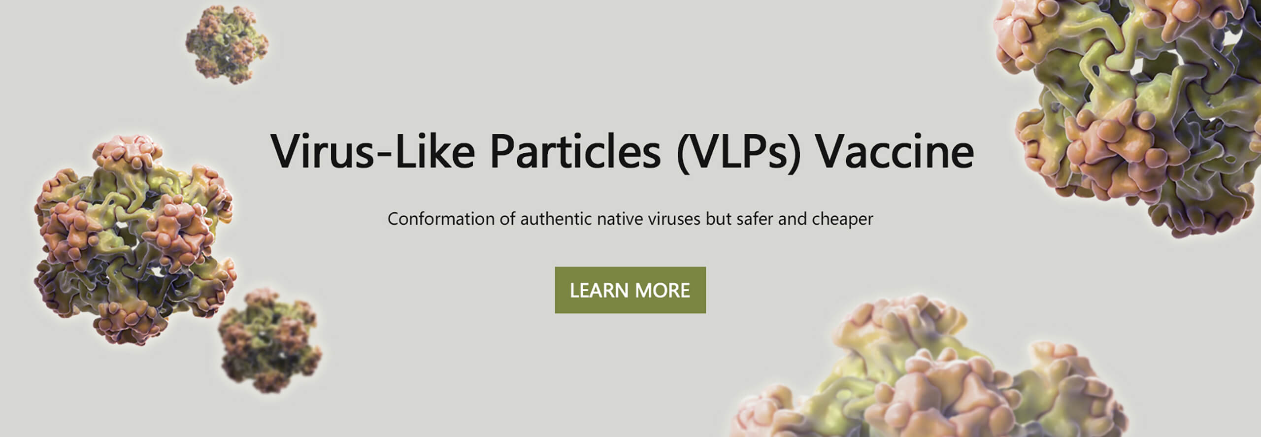 Vaccine Development - Creative Biolabs